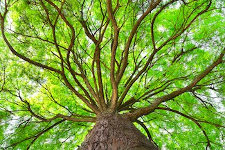 Supporting Fertility By Honoring Our Bodies | Portland, OR